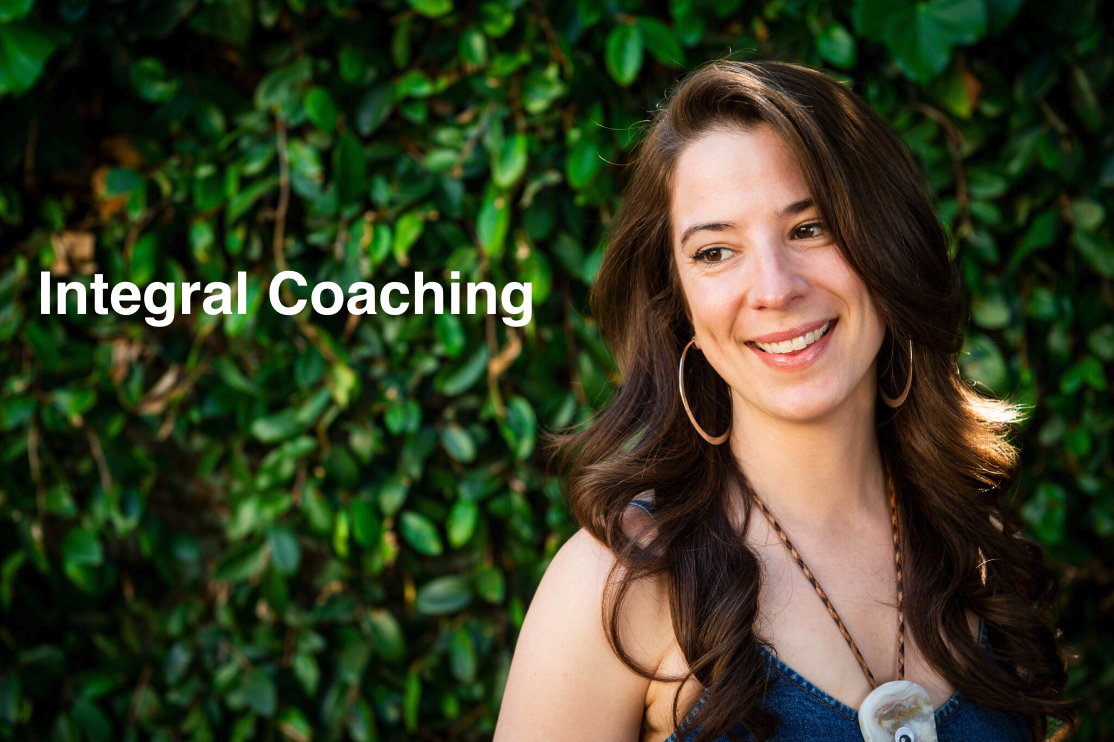 Integral Coach - Sarah A Howard